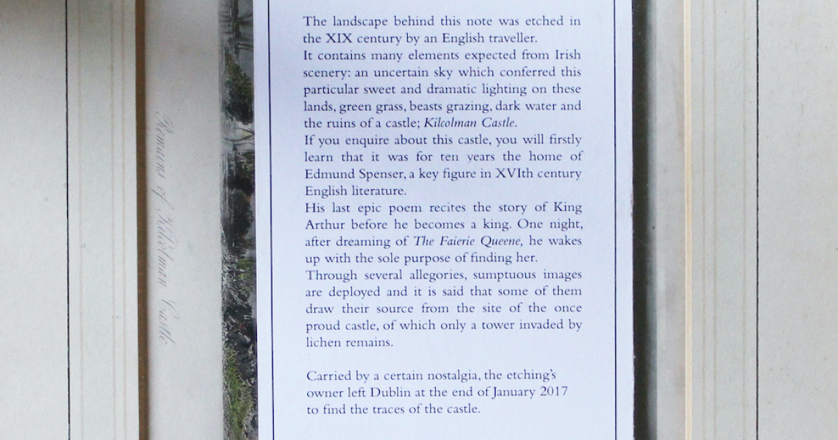 Remains of Kilcolman Castle | Anaïs Wenger | DDA Genève